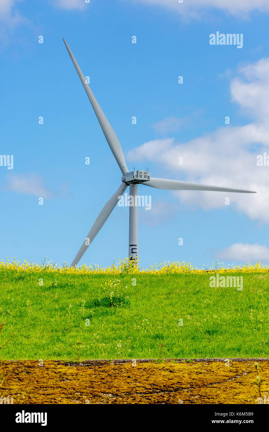 modern windmill against a blue sky with green grass in the front Stock ...