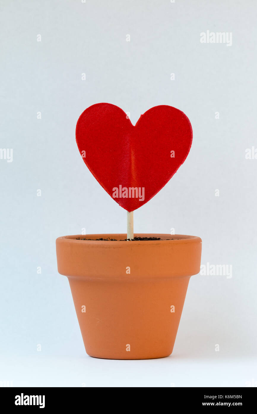 my love for you is growing against a white background Stock Photo - Alamy