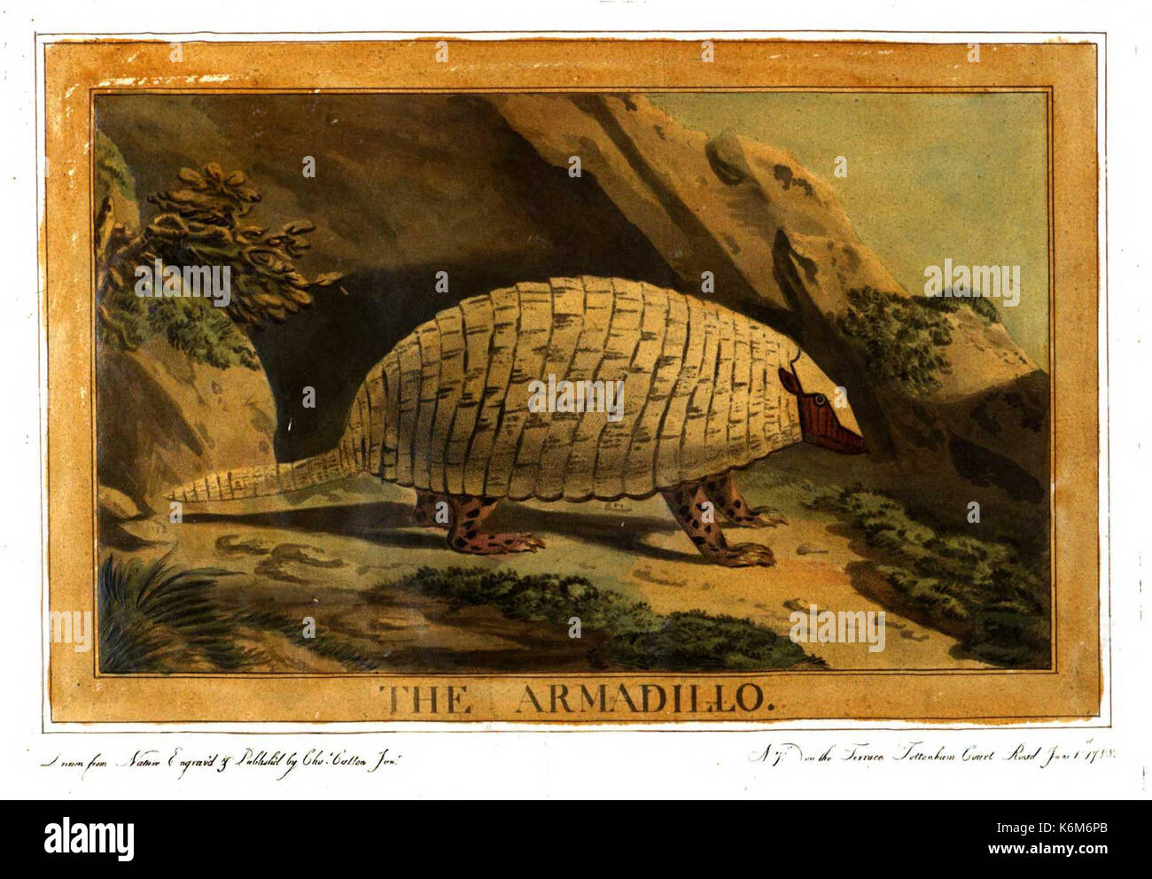 Catton charles Cut Out Stock Images & Pictures - Alamy