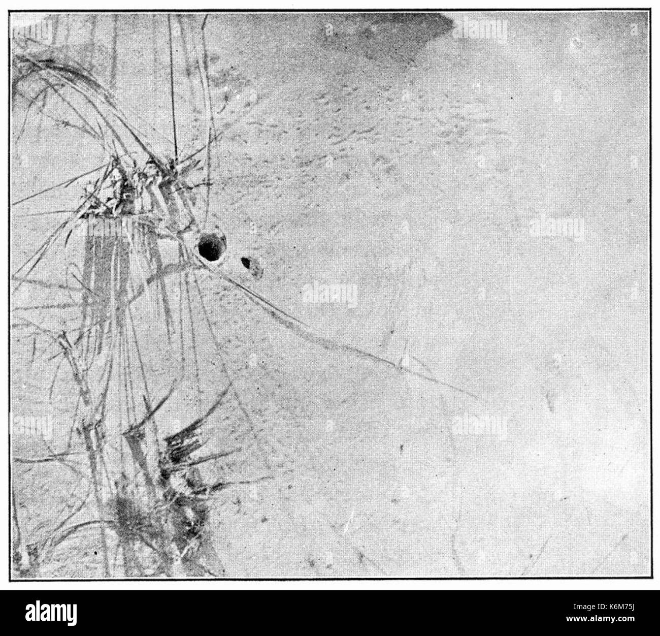 172 s Black and White Stock Photos & Images - Alamy