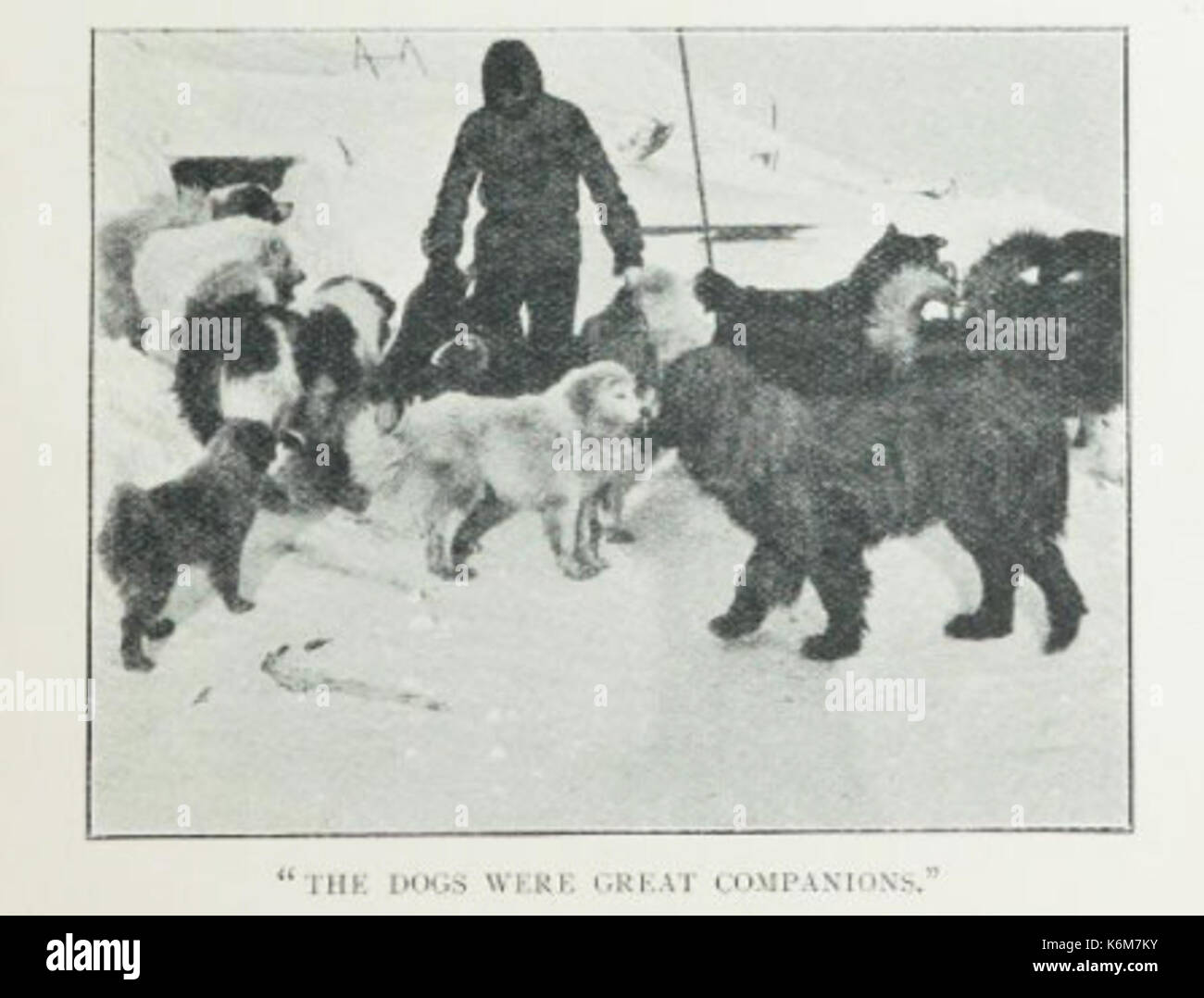 Cape Adare 1899 Carsten Borchgrevink Camp Ridley Dogs Stock Photo - Alamy