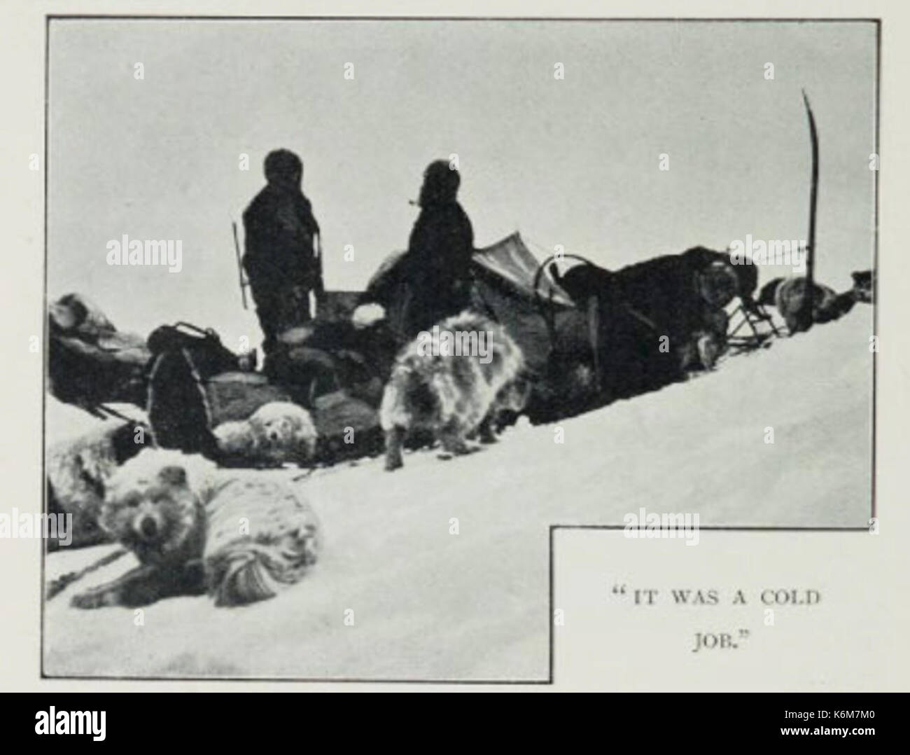 Cape Adare 1899 Carsten Borchgrevink Camp Ridley Dogs2 Stock Photo - Alamy