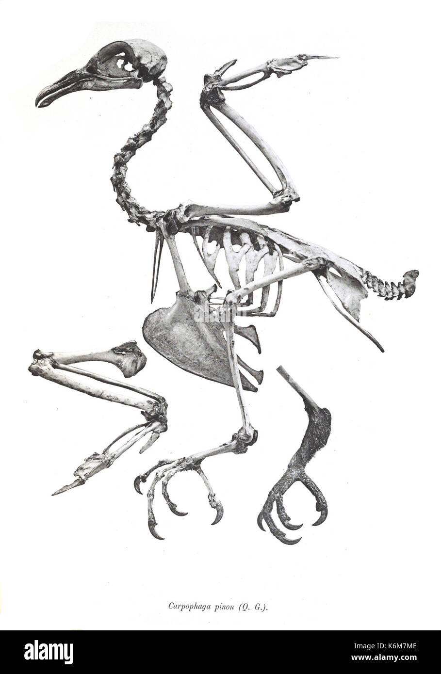 Pinon Map High Resolution Stock Photography and Images - Alamy