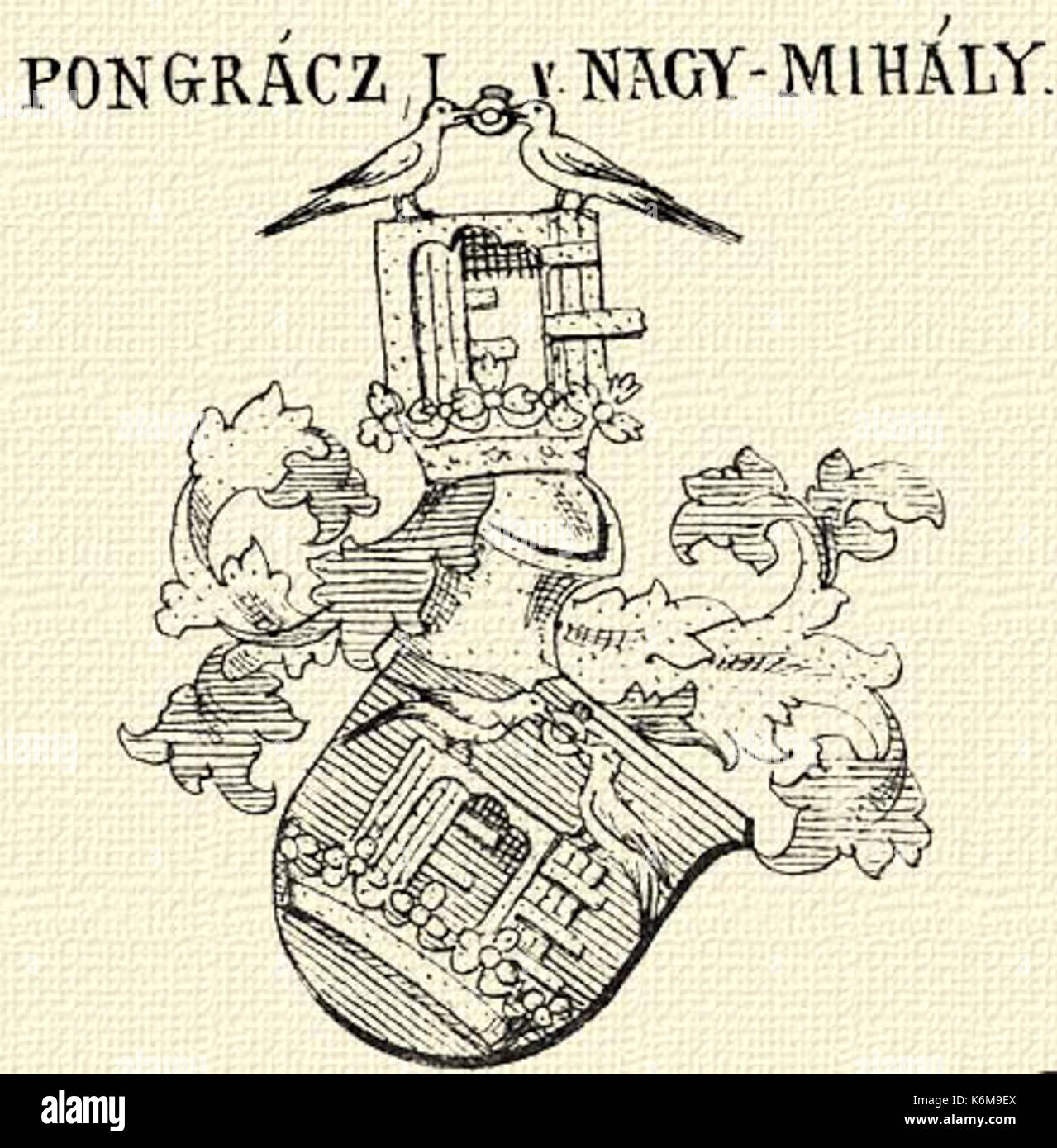 Pongracz hi-res stock photography and images - Alamy