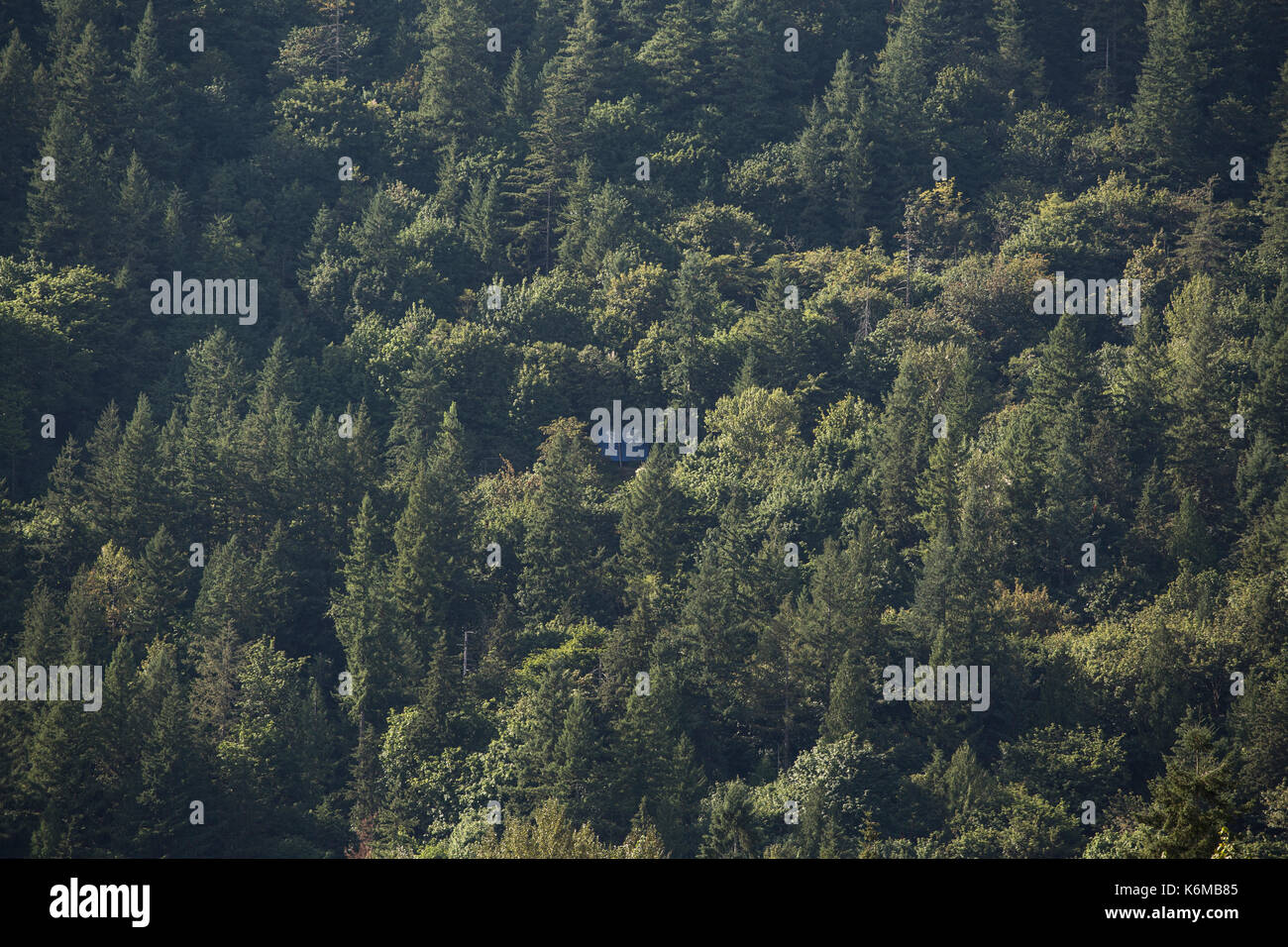 The 12th Man sign above the interstate 90 in Washington state Stock ...