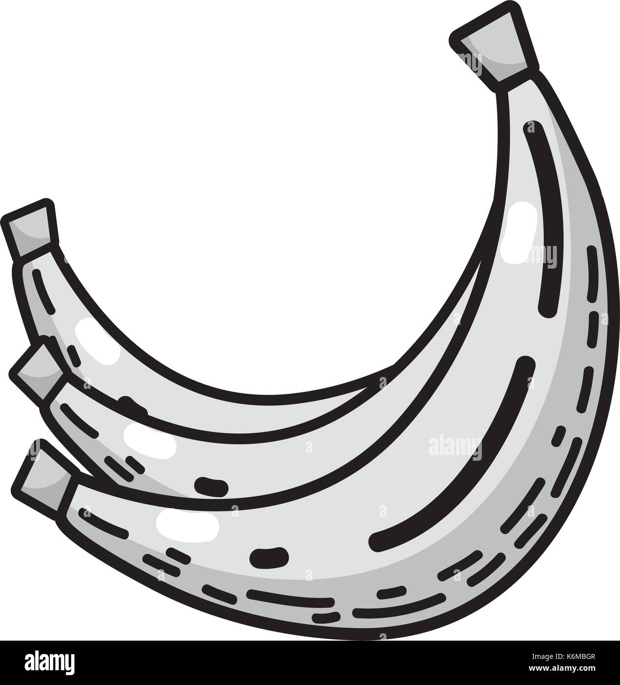 grayscale delicious fresh banana fruit nutrition Stock Vector Image ...