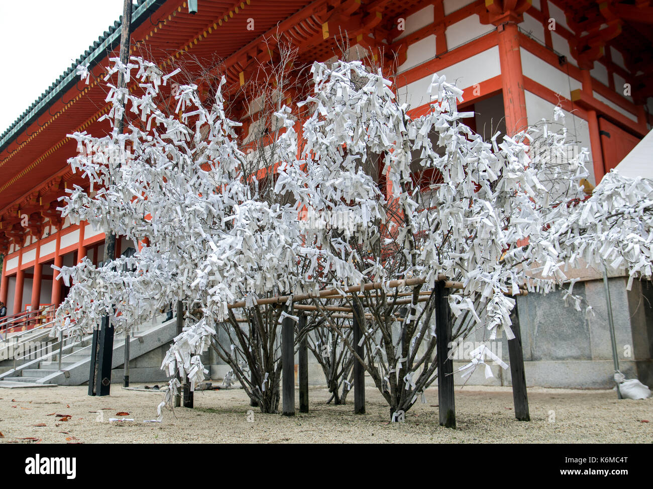White papers with prayers tied on a branch of a tree at Heian Jingu ...