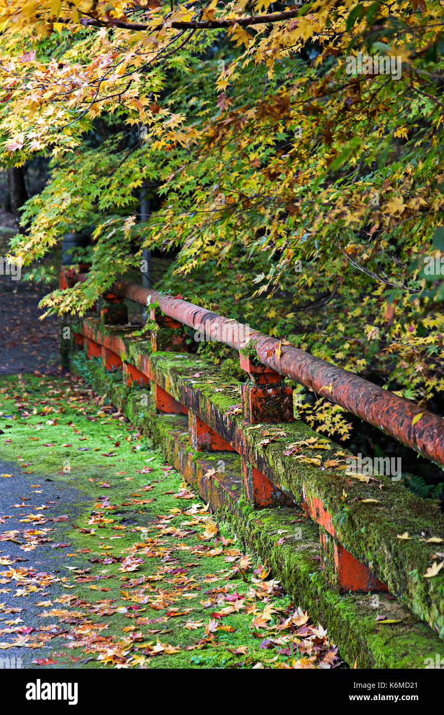 Tranquility rail railing hi-res stock photography and images - Alamy