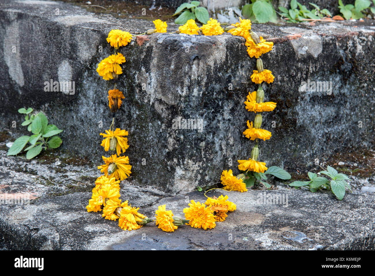 a ritual wreath of yellow flowers on a sacral building in a Buddhist ...