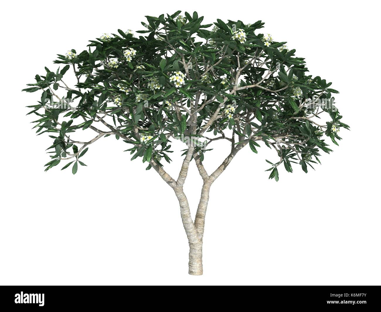 Set 3d realistic green Cut Out Stock Images & Pictures - Alamy