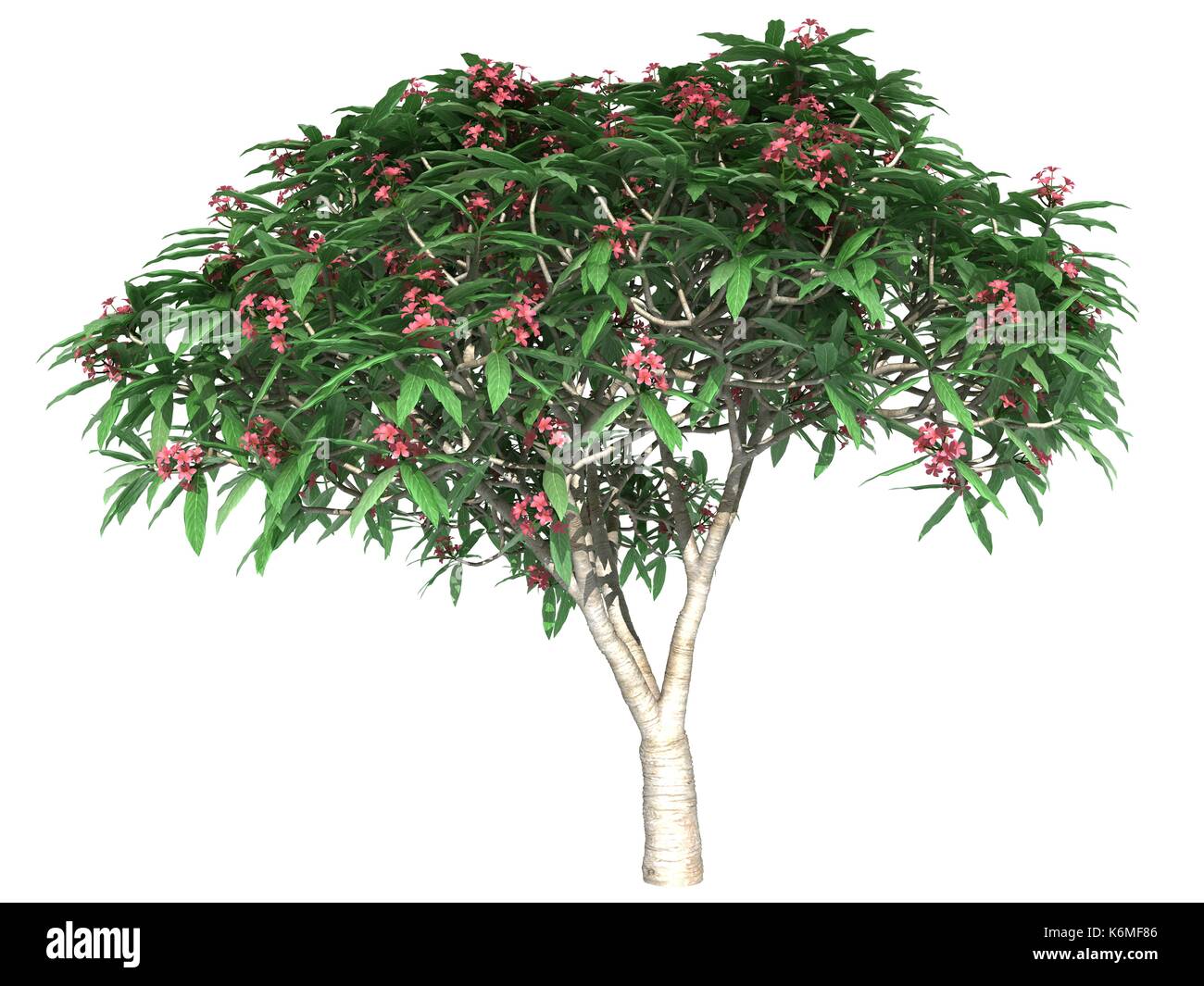 Set 3d realistic green Cut Out Stock Images & Pictures - Alamy