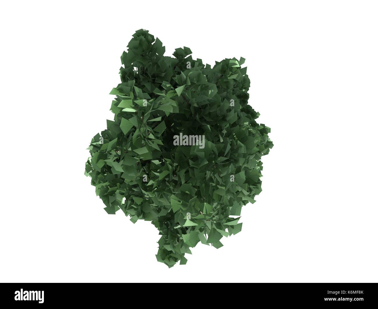 3d rendering of a realistic green tree top view isolated on white Stock ...