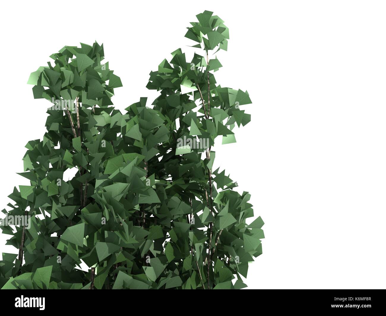 3d rendering of a realistic green tree foreground view isolated on ...