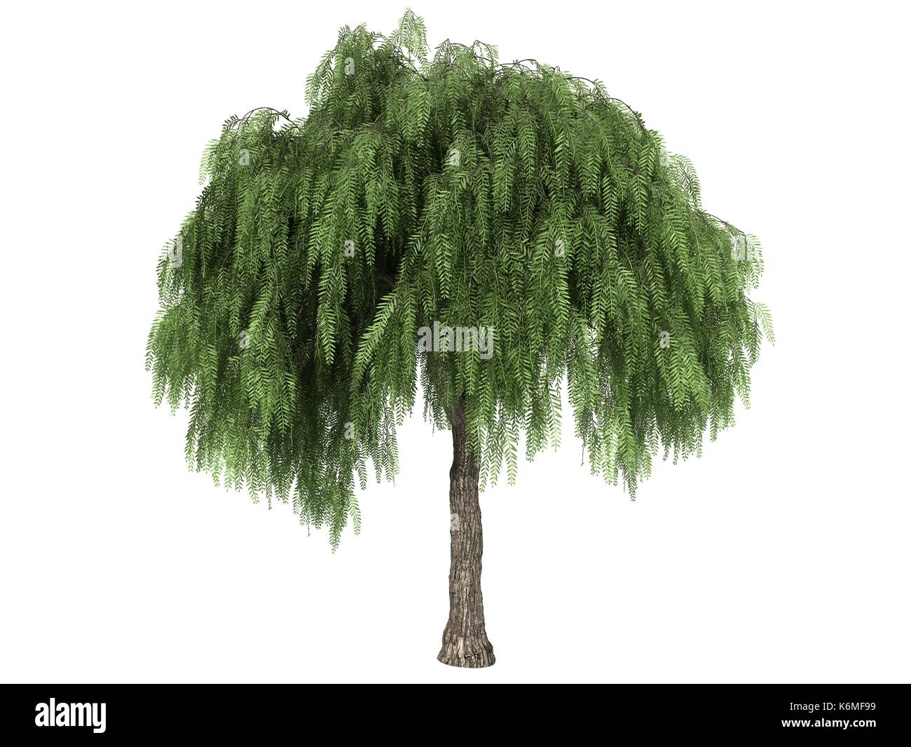 3d rendering of a realistic green tree isolated on white Stock Photo ...