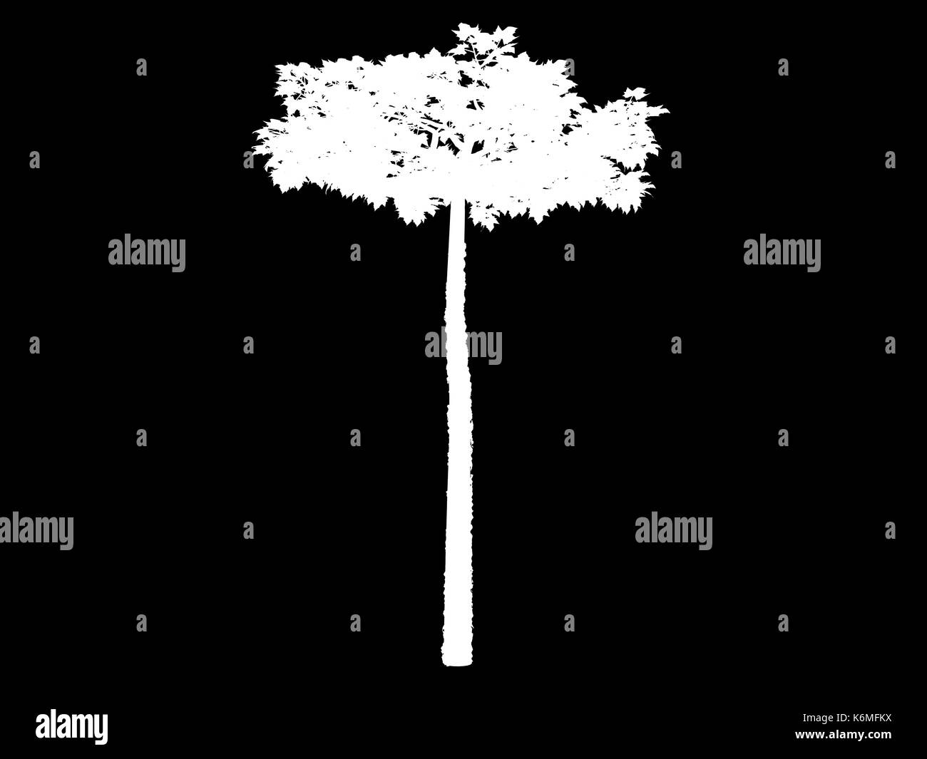 3d rendering of a white abstract tree on a black background Stock Photo ...