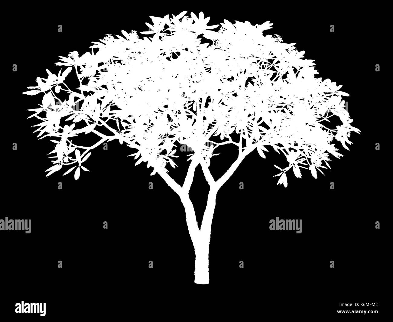 3d rendering of a white abstract tree on a black background Stock Photo ...