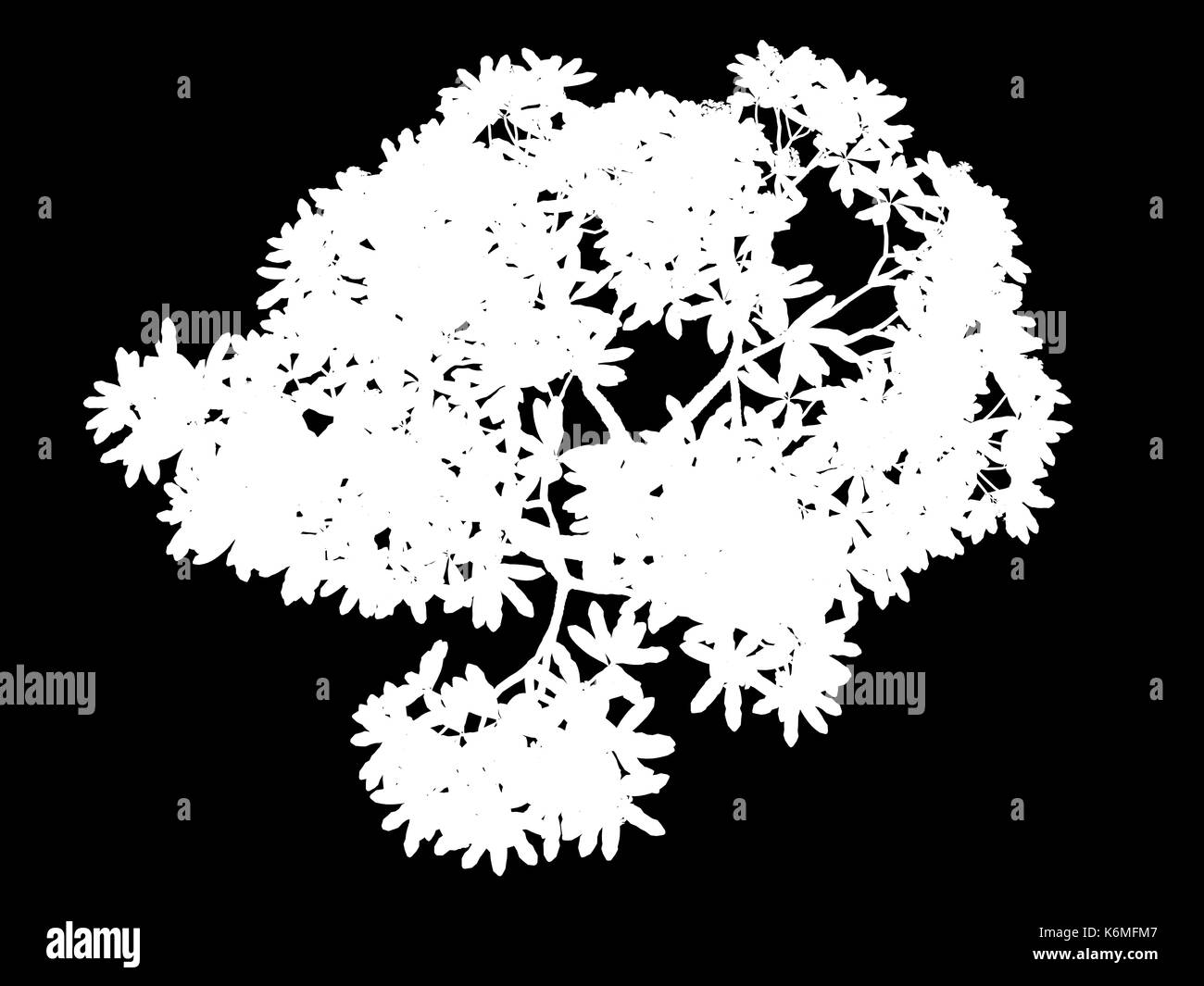 3d rendering of a white abstract tree on a black background Stock Photo ...