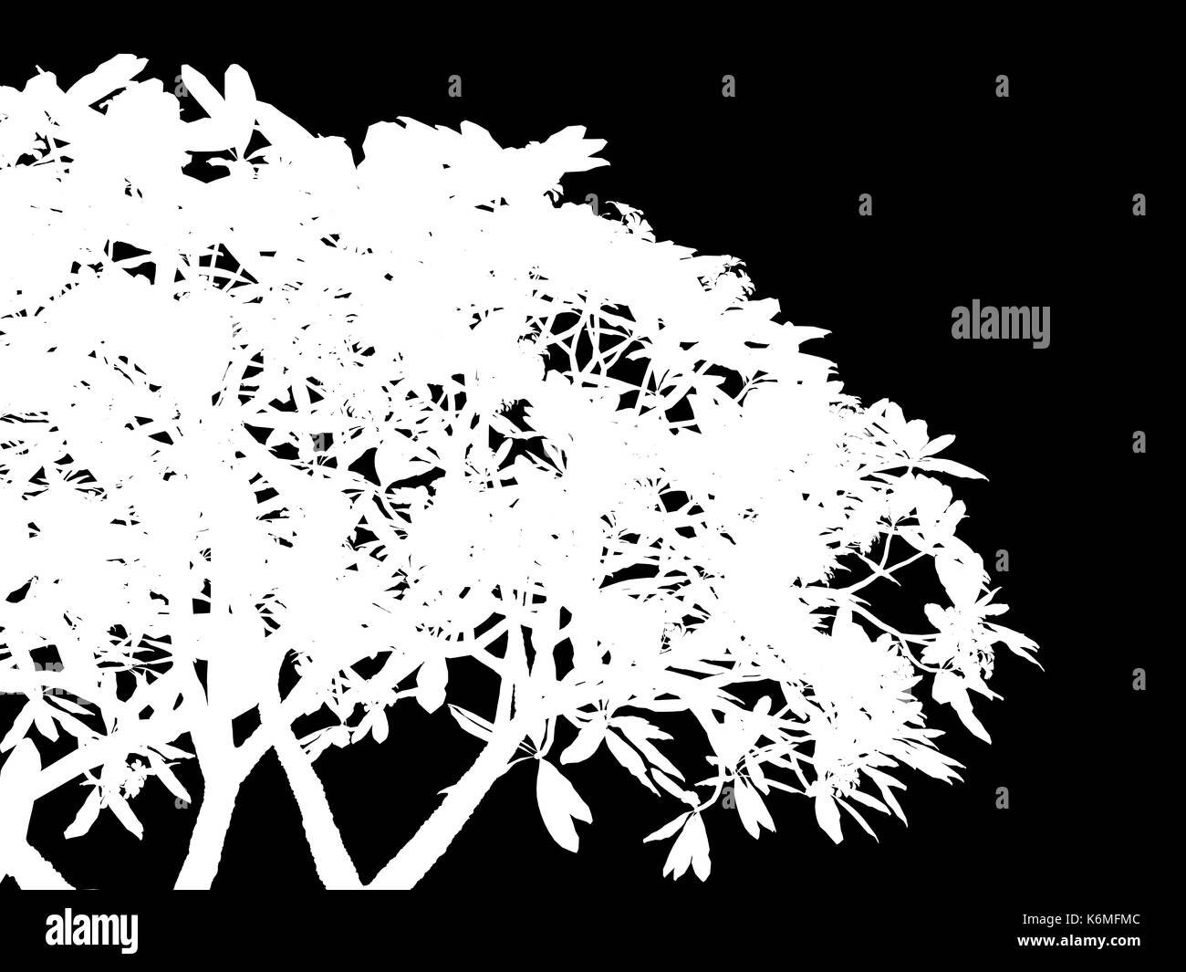 3d rendering of a white abstract tree on a black background Stock Photo ...