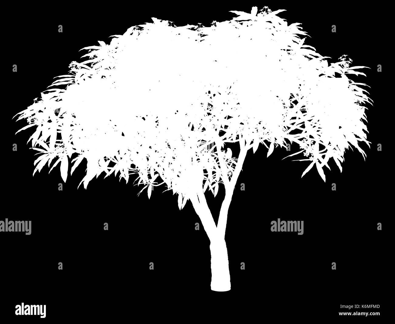 3d rendering of a white abstract tree on a black background Stock Photo ...