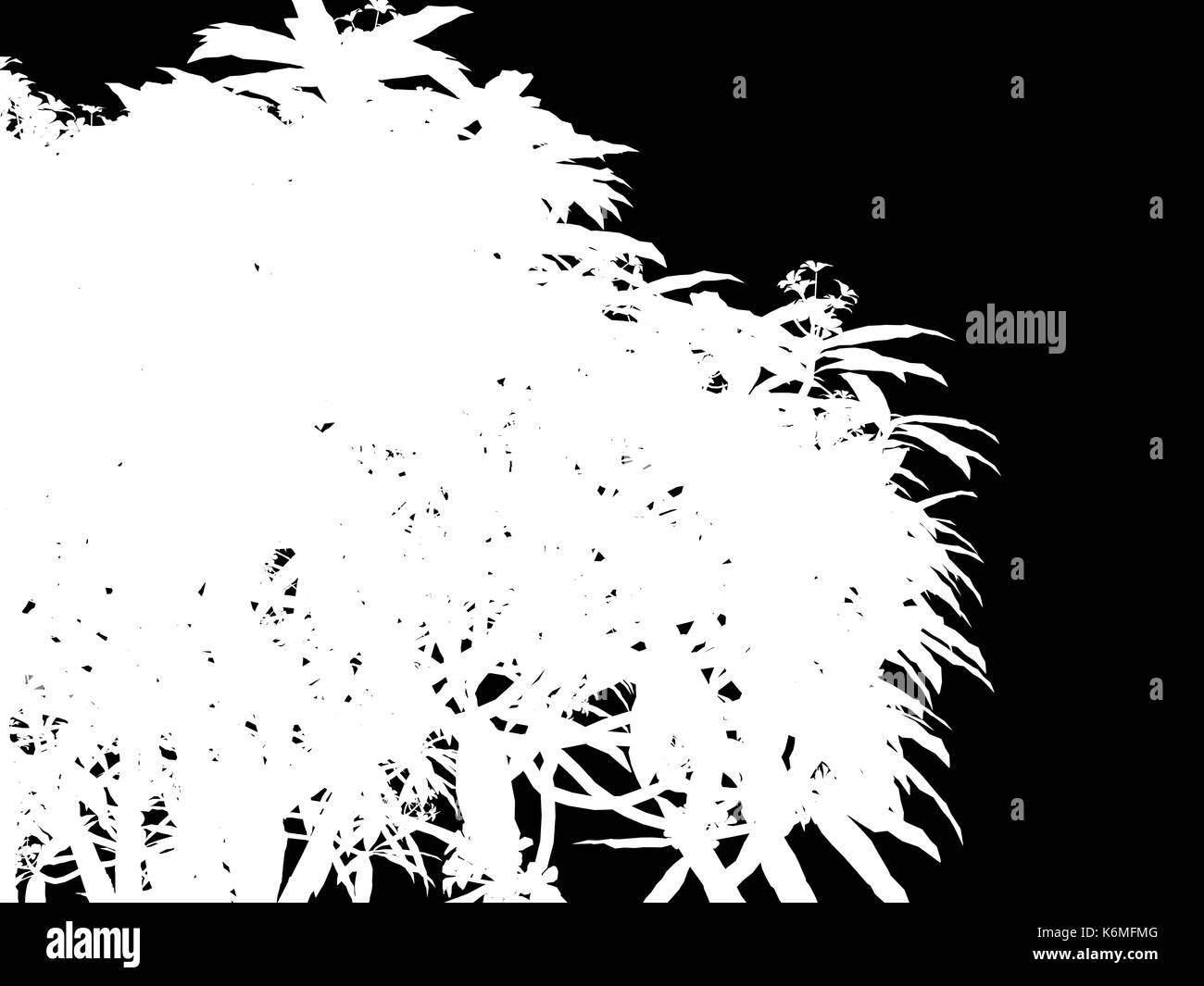 3d rendering of a white abstract tree on a black background Stock Photo ...