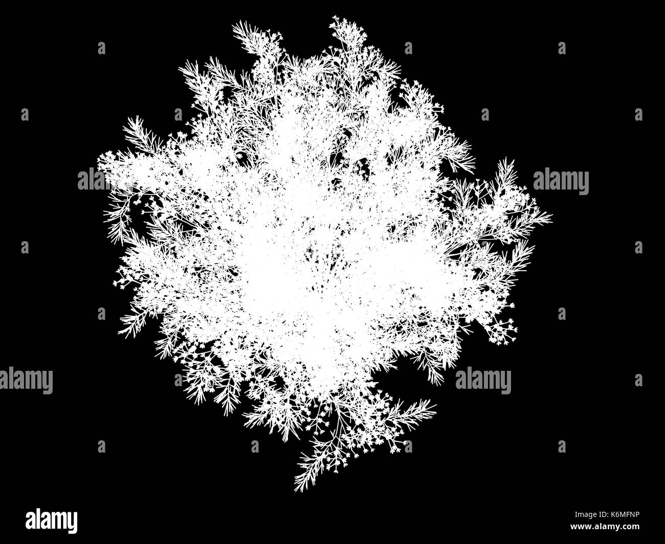 3d rendering of a white abstract tree on a black background Stock Photo ...