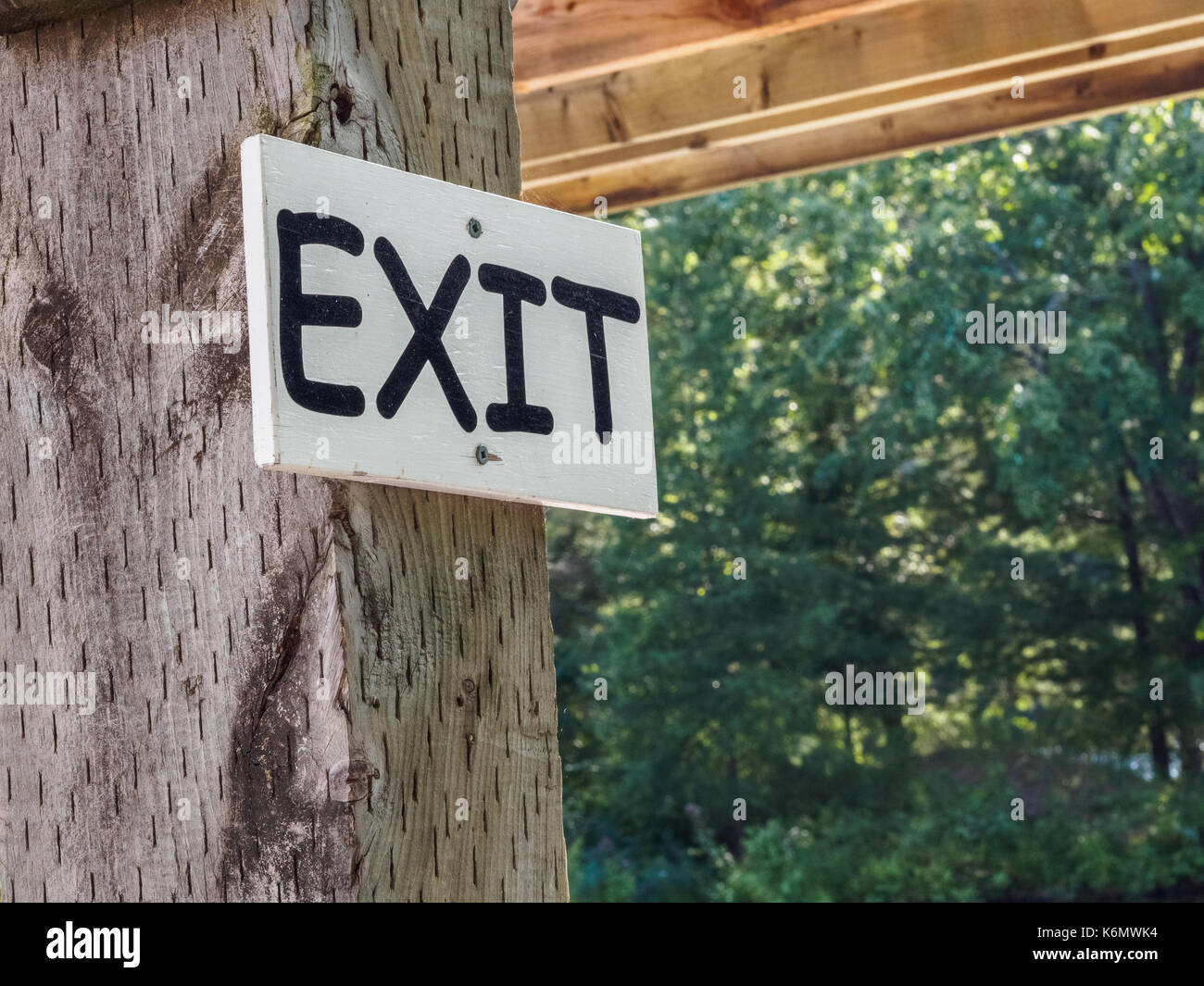 Exit signage on a white placard bolted on a tree with trees in ...