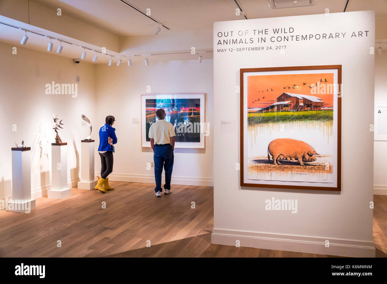 Charleston South Carolina,historic Downtown,Gibbes Museum of Art ...