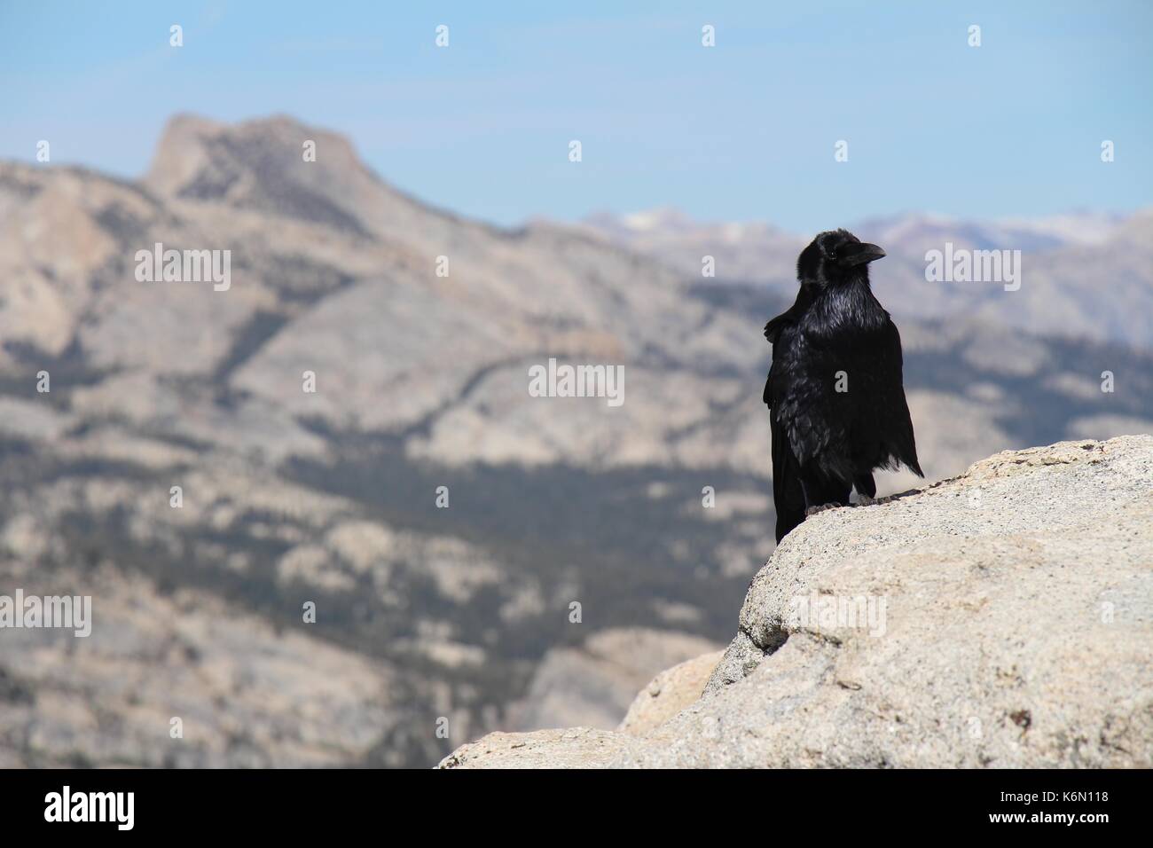 Crow rest hi-res stock photography and images - Alamy