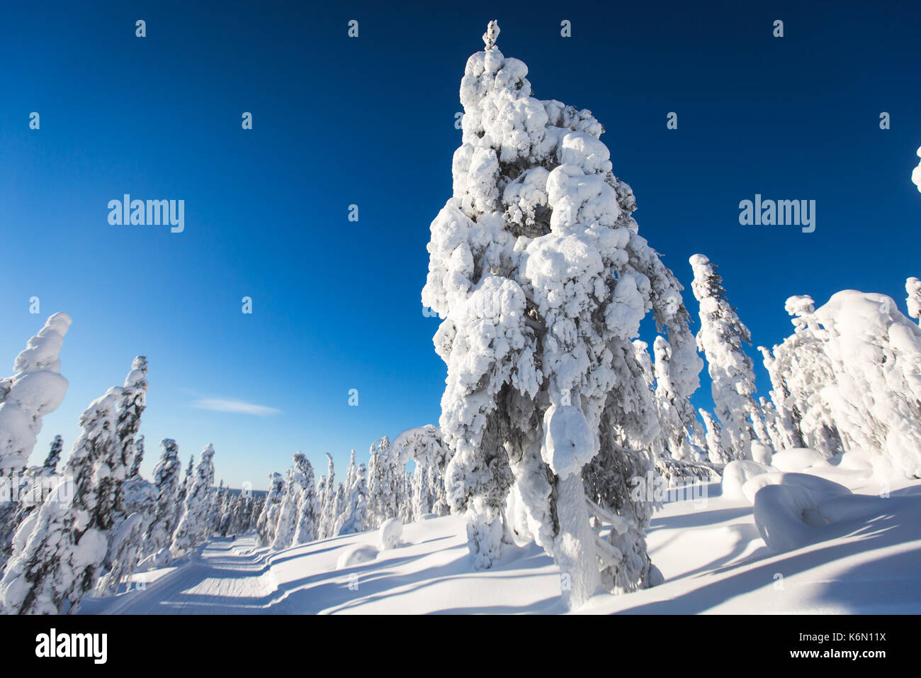 Beautiful cold mountain view of ski resort, sunny winter day with slope ...