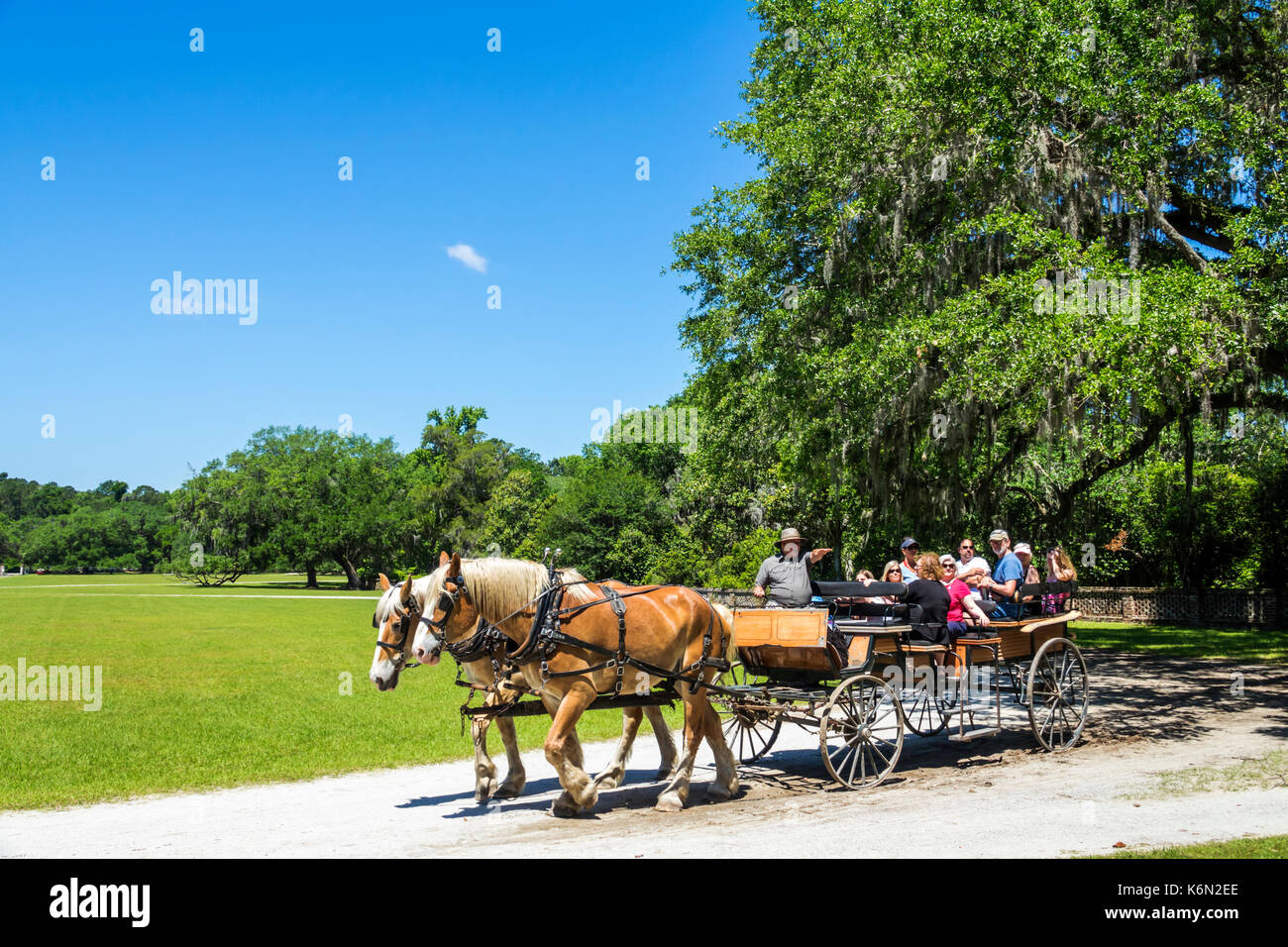Charleston South Carolina,Middleton Place,Ashley River water,rice ...