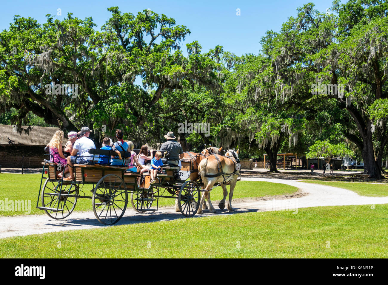 Charleston South Carolina,Middleton Place,Ashley River,rice plantation ...