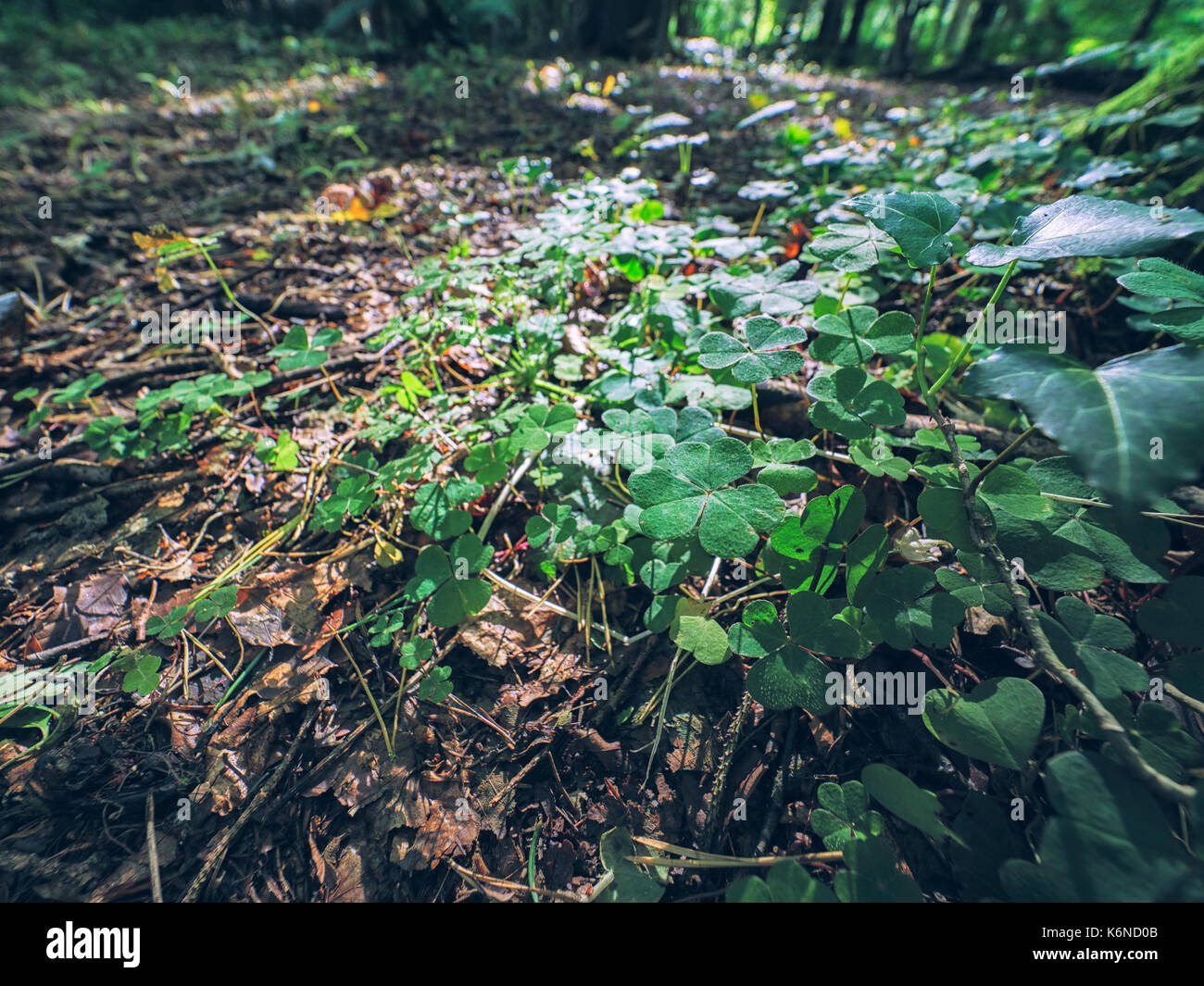 Beautiful wide view group hi-res stock photography and images - Alamy