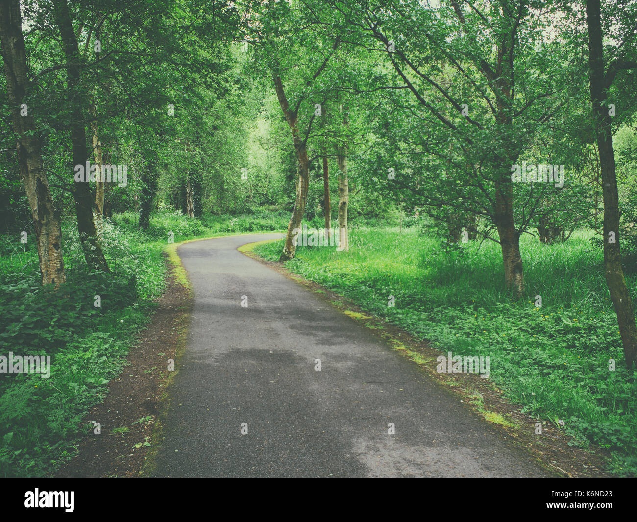 Spring countryside road,Northern Ireland Stock Photo - Alamy