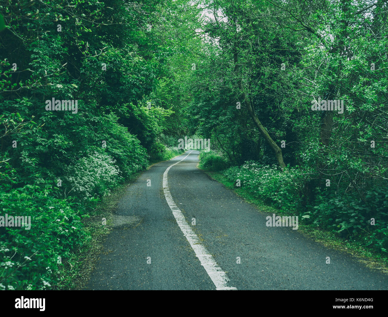 Spring countryside road,Northern Ireland Stock Photo - Alamy