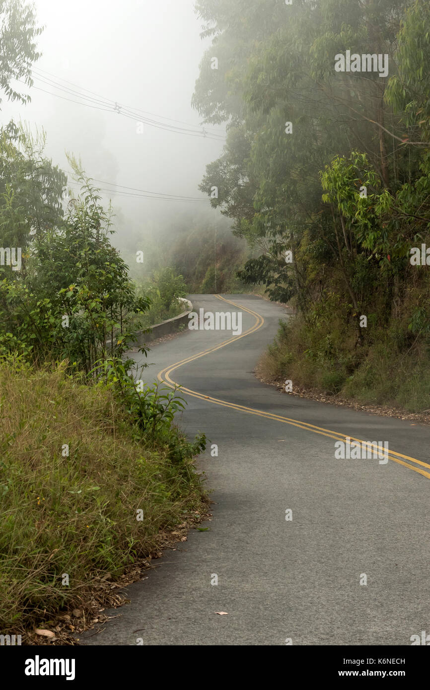 Winding foggy path hi-res stock photography and images - Alamy