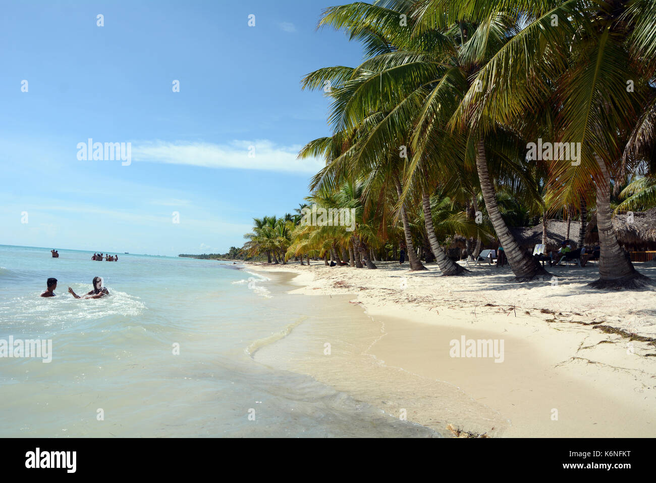 Saona Island, Dominican Republic Stock Photo - Alamy