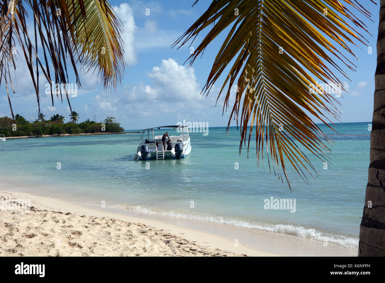 Saona Island, Dominican Republic Stock Photo - Alamy