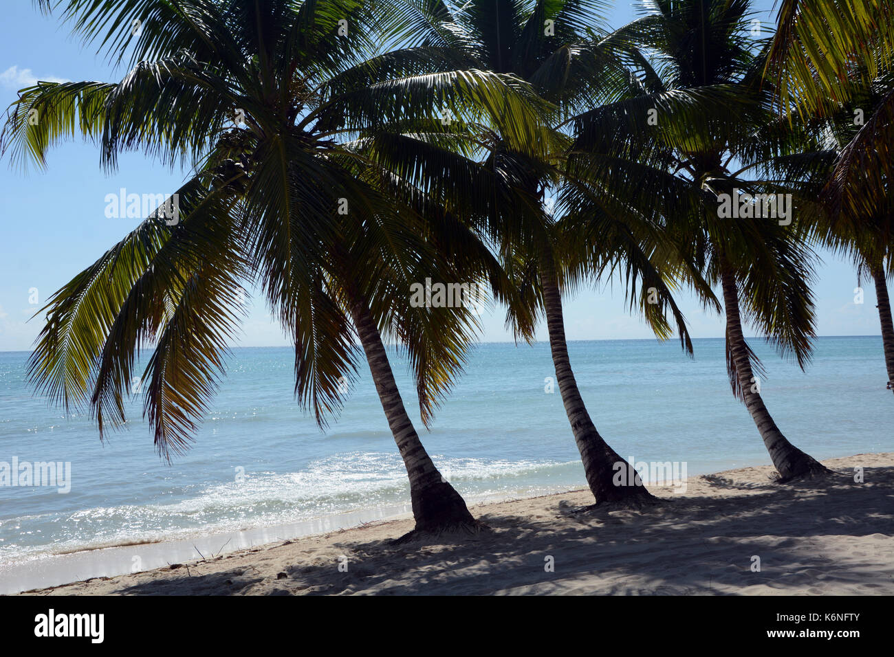Saona island dominican republic hi-res stock photography and images - Alamy