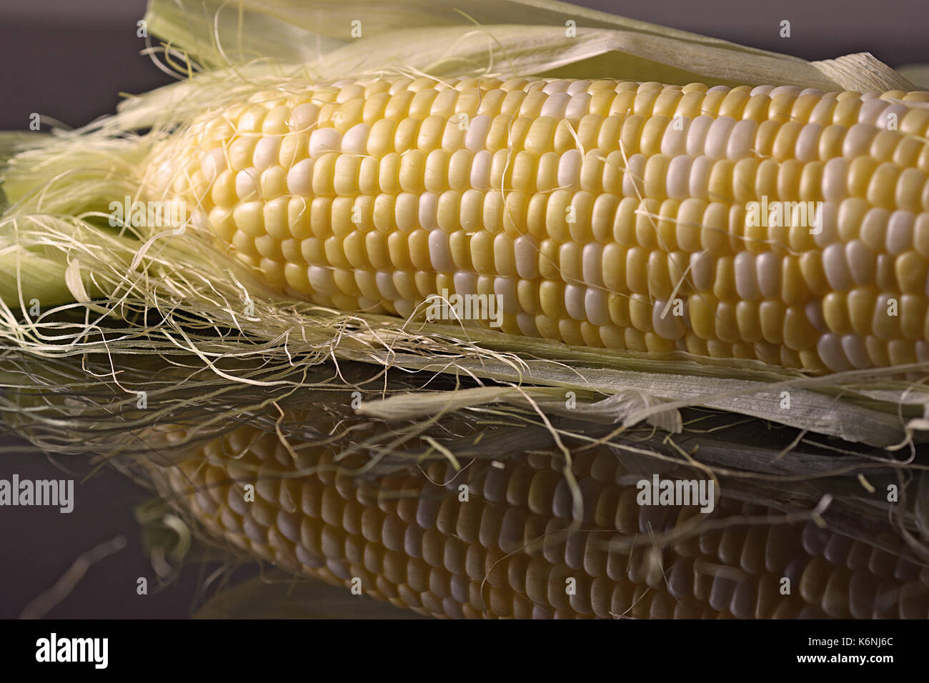 Artistic Corn on the cob kernel close up shot on a reflective surface ...