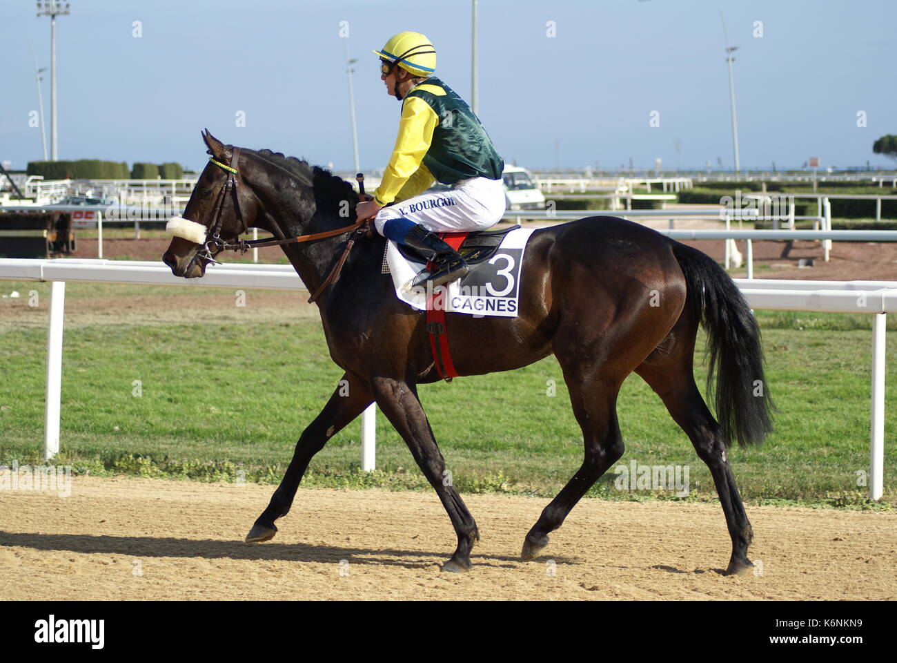 Yellow and green jockey hi-res stock photography and images - Alamy