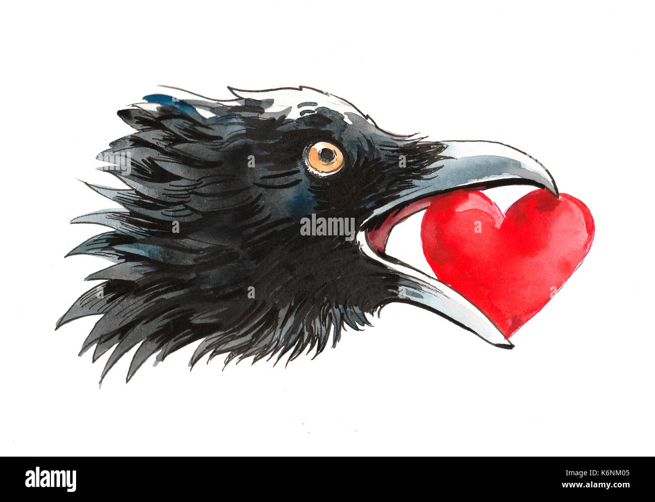 Raven love Cut Out Stock Images & Pictures - Alamy