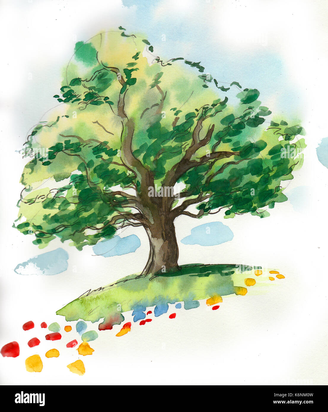 Watercolor oak tree Stock Photo - Alamy