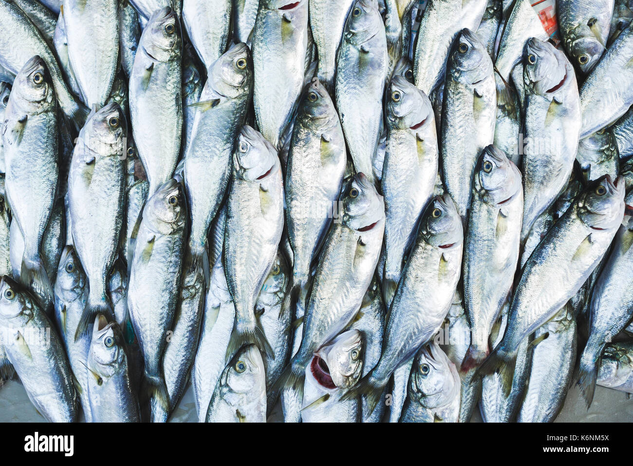 Fish background at the street market Stock Photo - Alamy