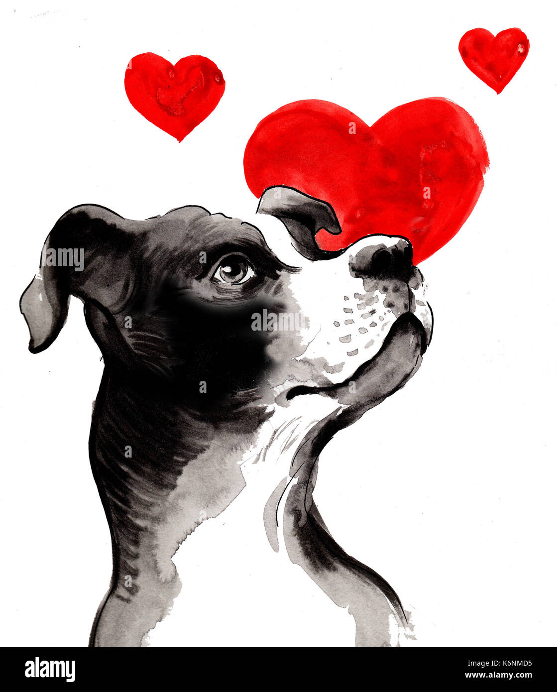 Dog and heart shapes Stock Photo - Alamy