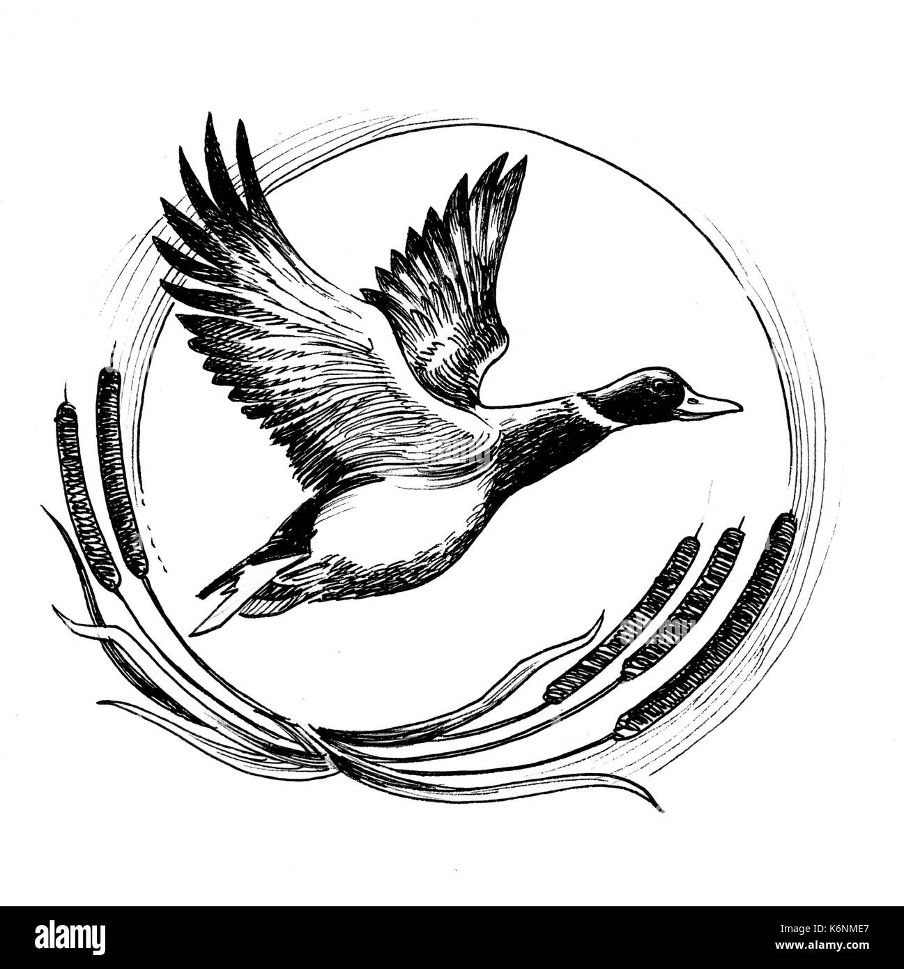 Flying Duck Outline