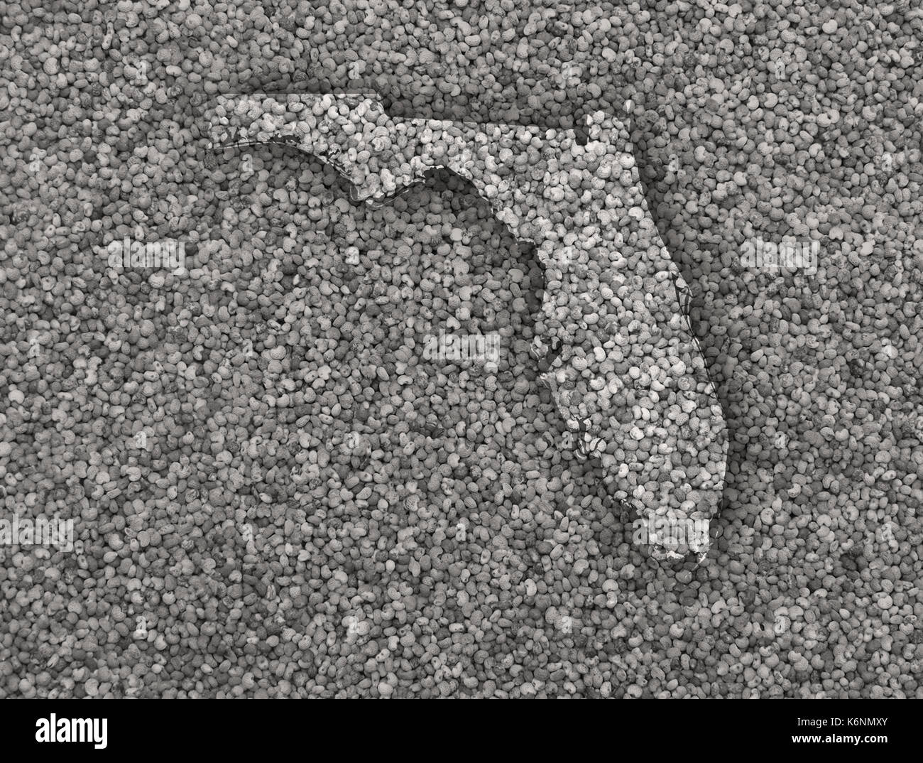 Map of Florida on poppy seeds Stock Photo - Alamy