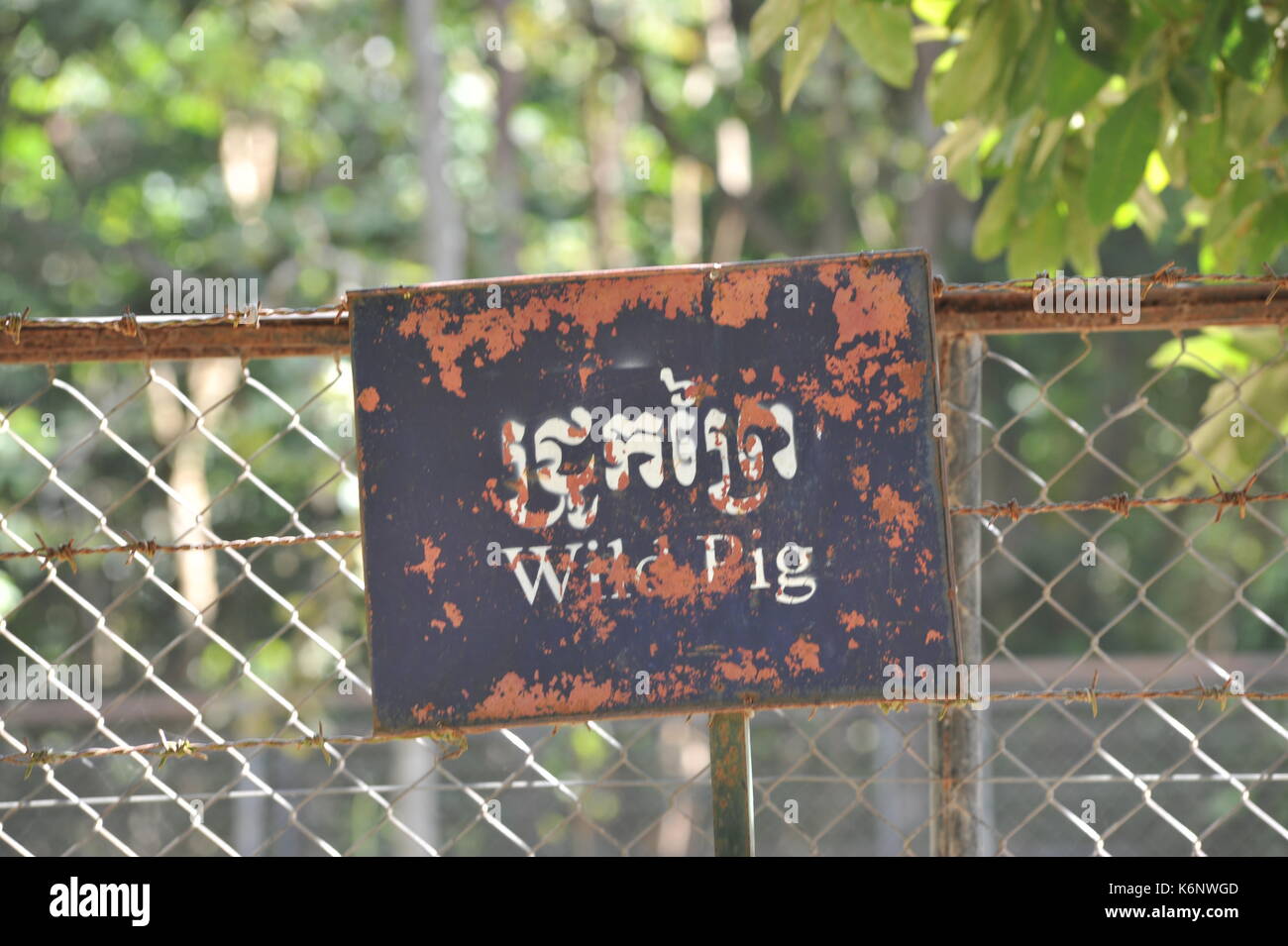 Old weathered bilingual "Wild Pig" sign, Phnom Tamao Wildlife Rescue ...