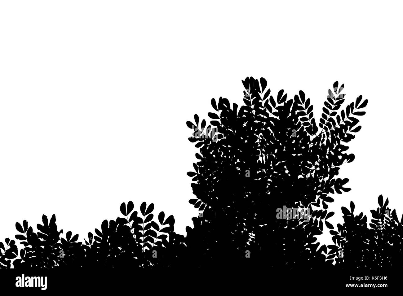 Sorrowing Black and White Stock Photos & Images - Alamy