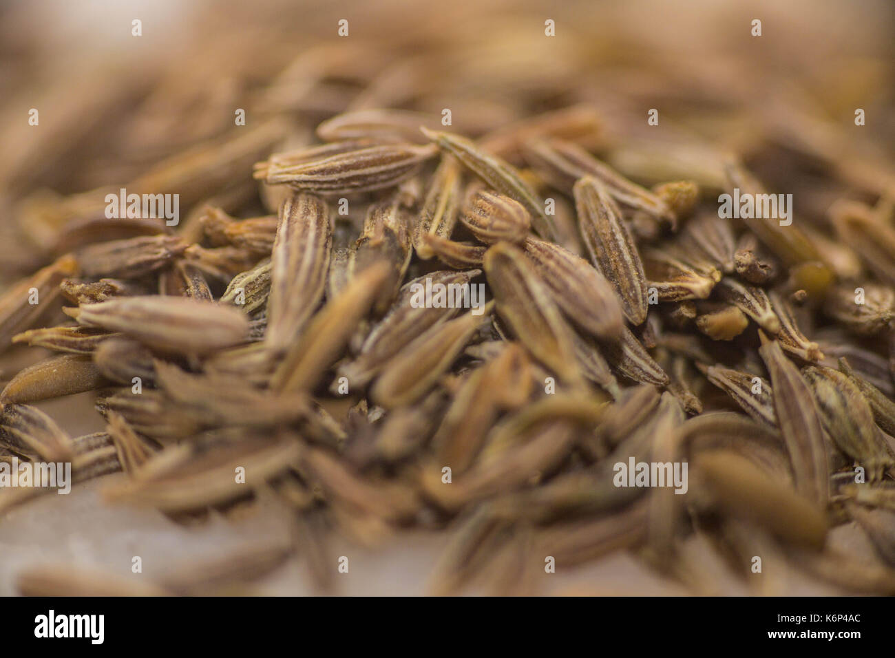 Zeera hi-res stock photography and images - Alamy