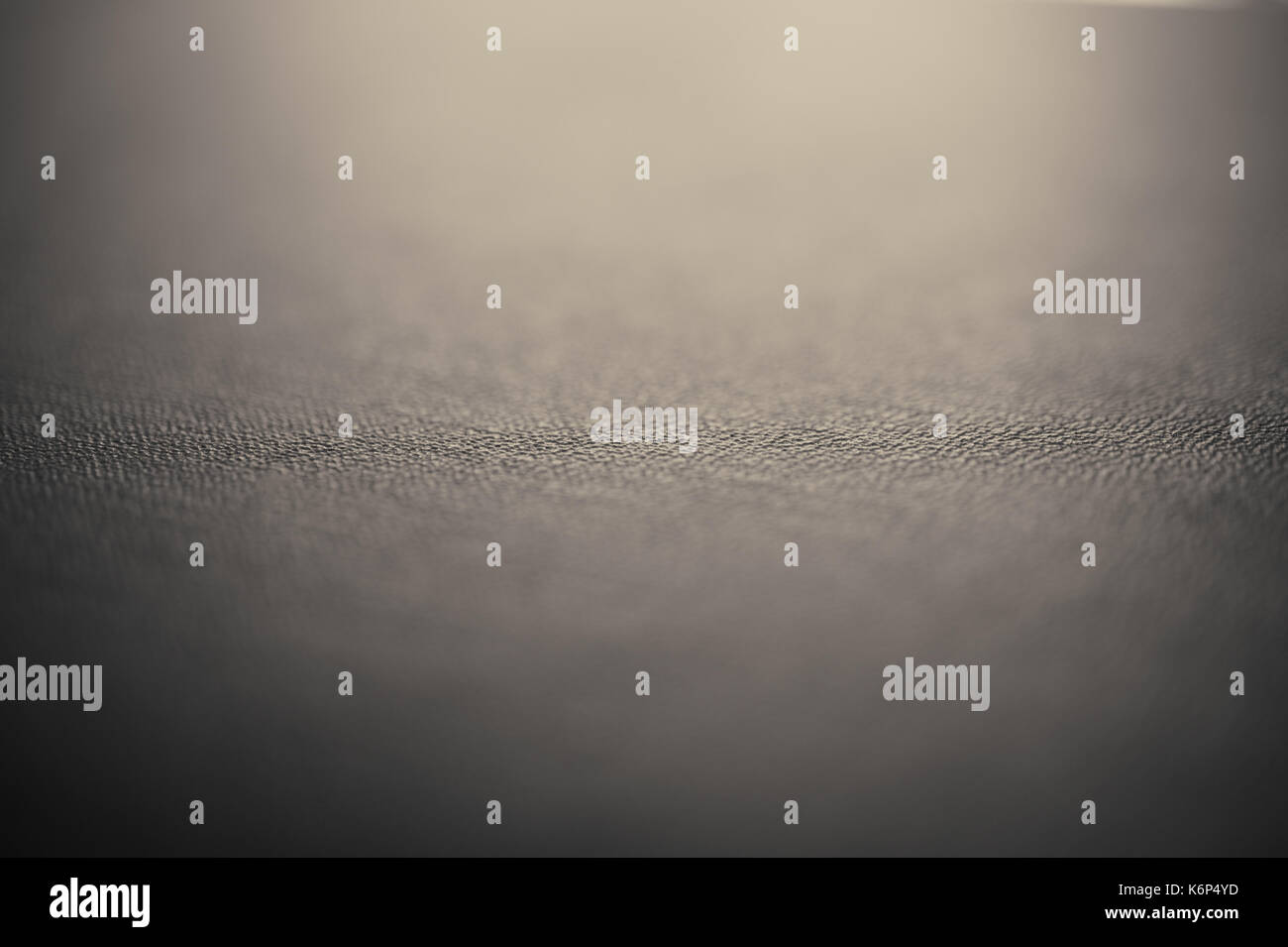 surface of the skin, the edges of the image are blurred. Monochrome ...